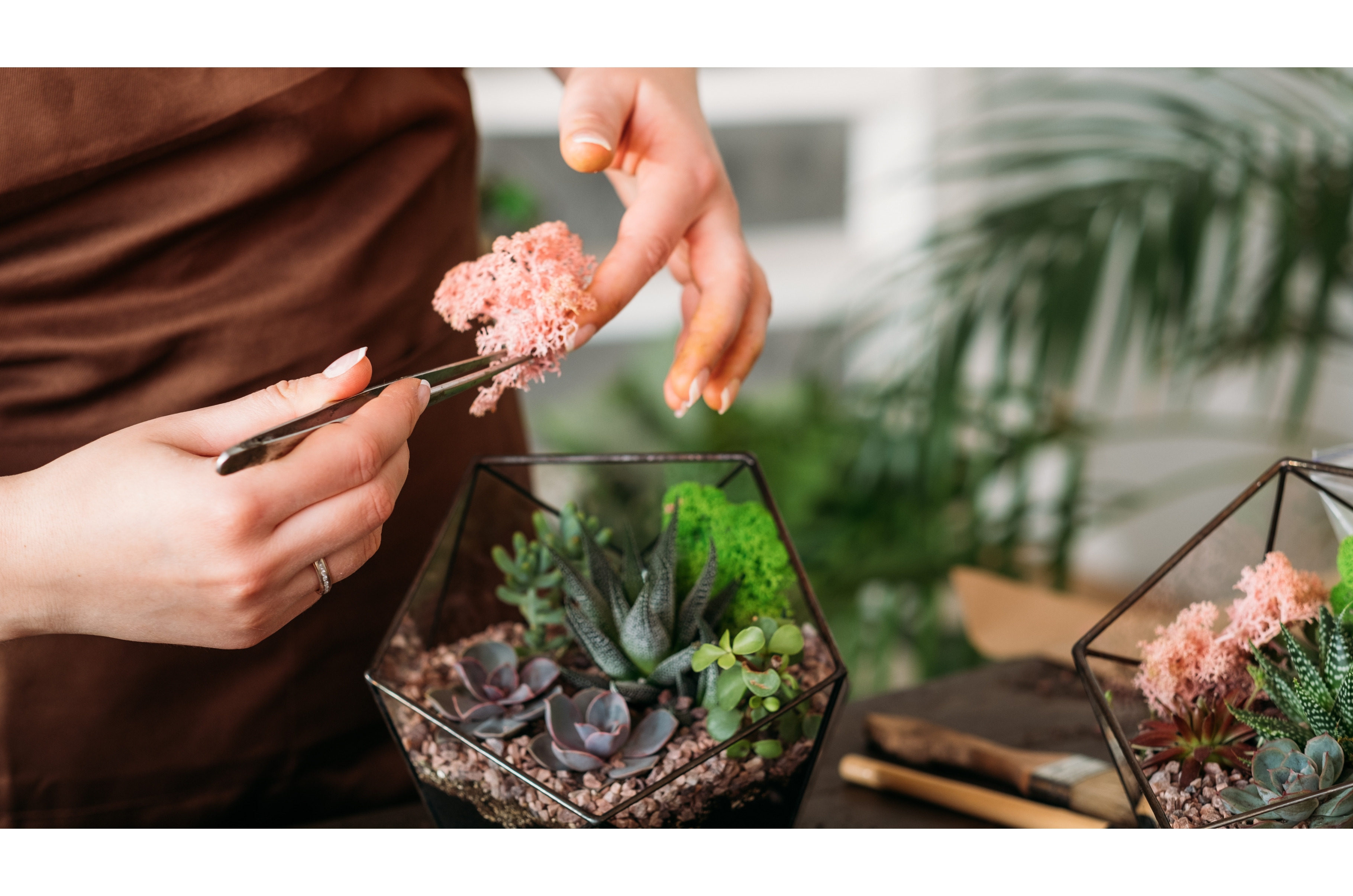 diy florarium handmade natural decor, a Graphic by Photo Drive Studio