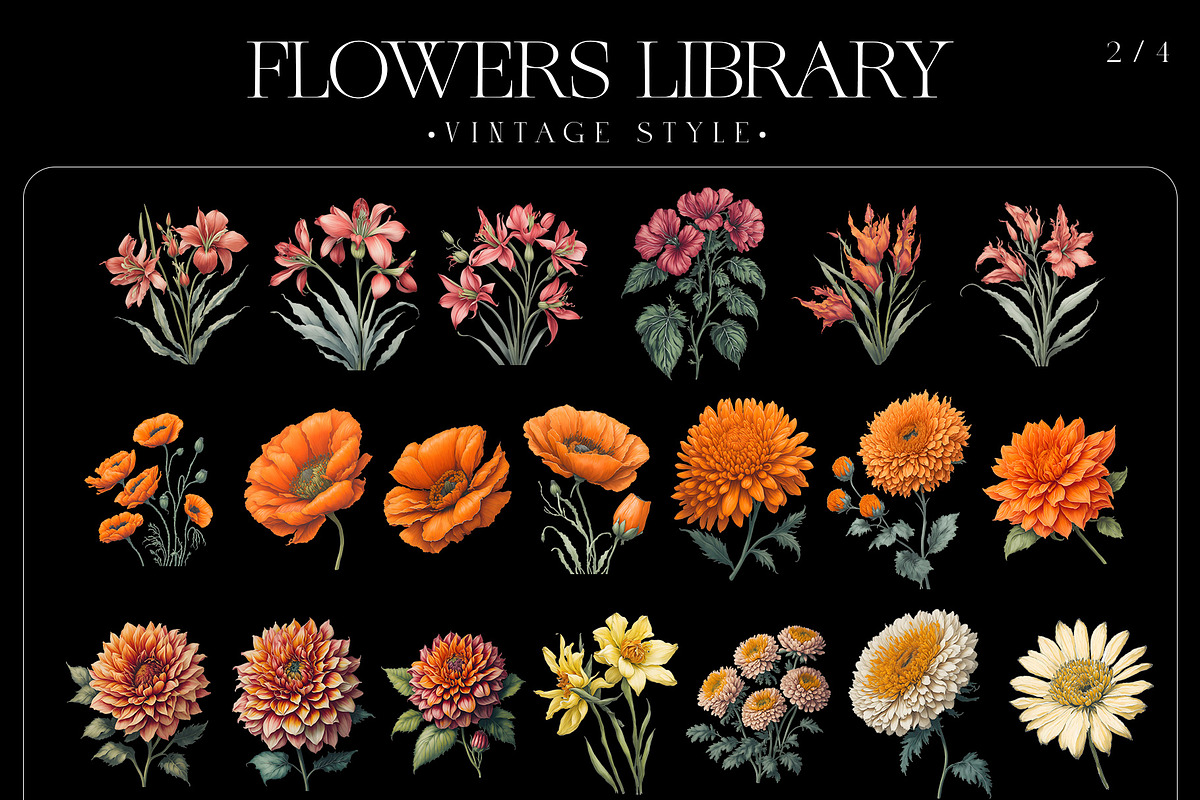 Vintage Flowers Library, an Illustration by SunnyAfternoons