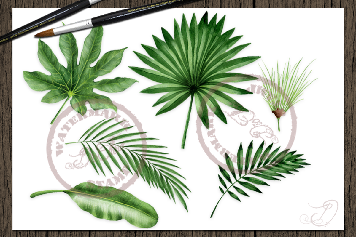 Tropical Leaves Watercolor Clip Art, a Decorative Illustration by ...