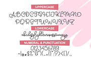 picky nice | Birthday Font, a Script Font by BearyType Studio | Creative Market