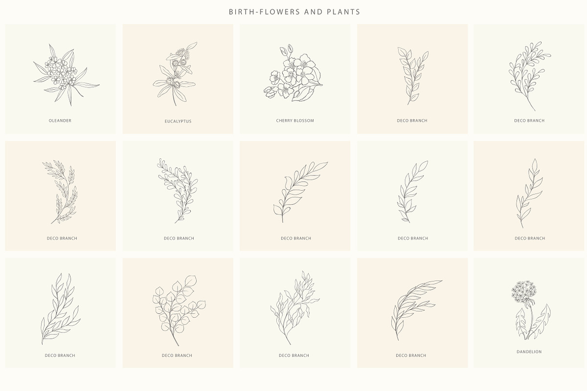 Birth-Flowers. Trendy Plants, Logos, a Seasonal Illustration by Designwork