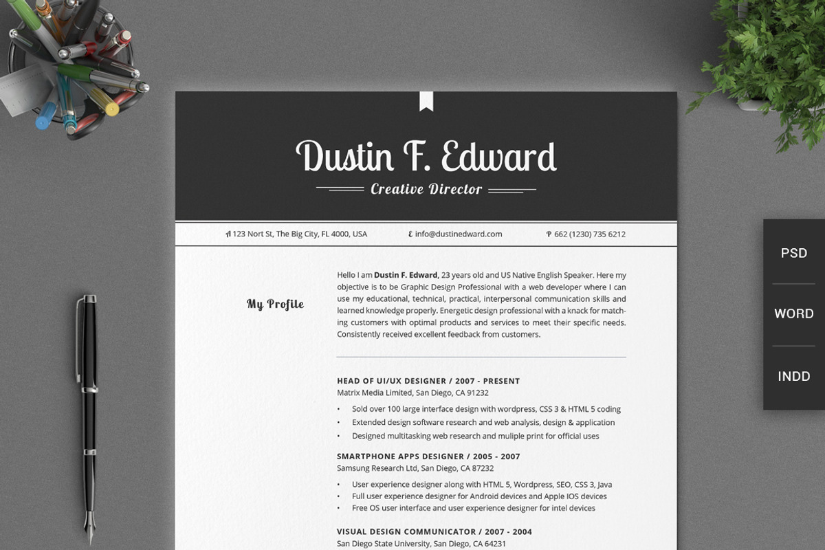 All in One Elegant Resume CV Pack, a Resume Template by SNIPESCIENTIST