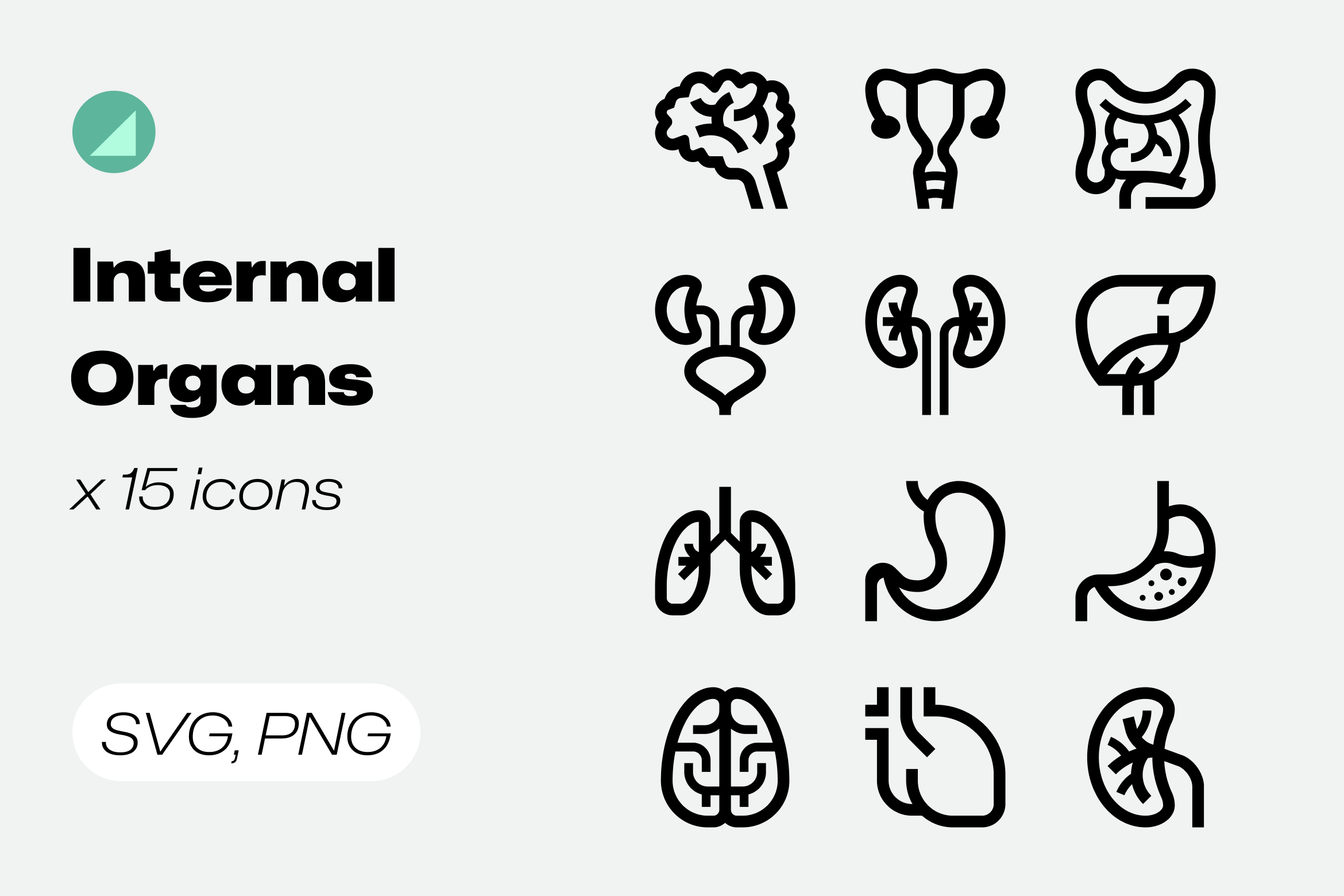 Basicons / Anatomy / Internal Organs, an Outline Icon by EDT.Graphics ...