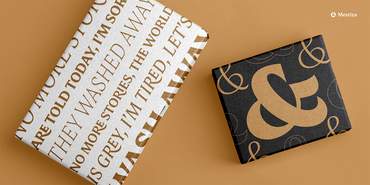 Mestiza, a Serif Font by Lechuga Type