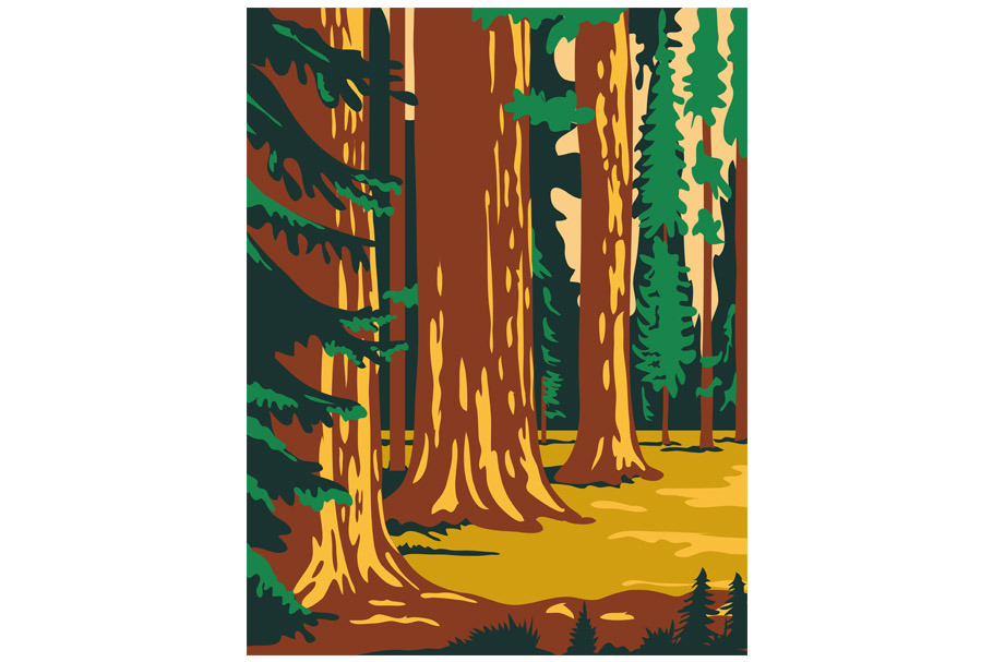 Sequoia National Park WPA, an Illustration by patrimonio