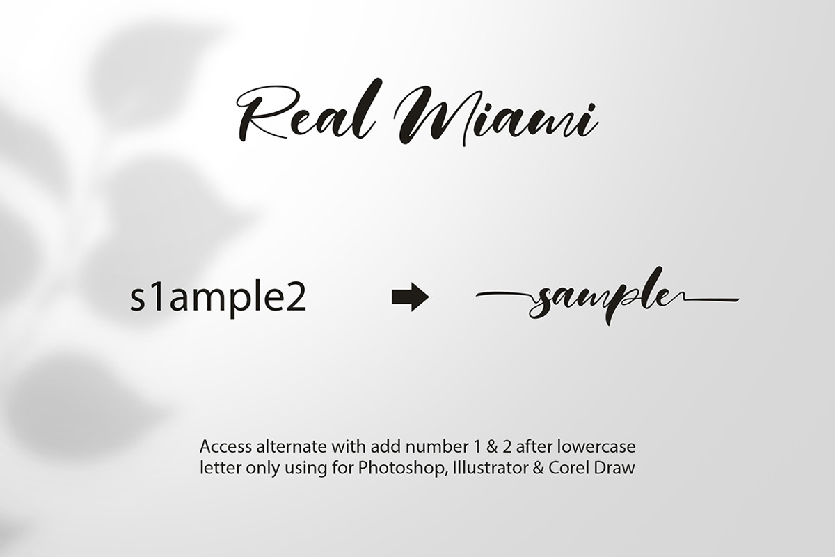 Real Miami Script, a Script Font by khurasan