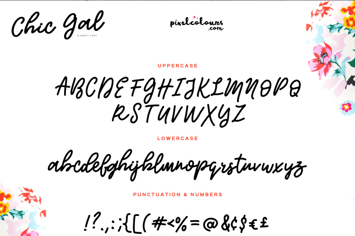 Chic Gal Script Font, a Script Font by pixelcolours