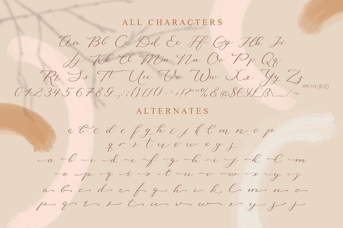 Mood Board script font, a Serif Font by Anna Zakharchenko