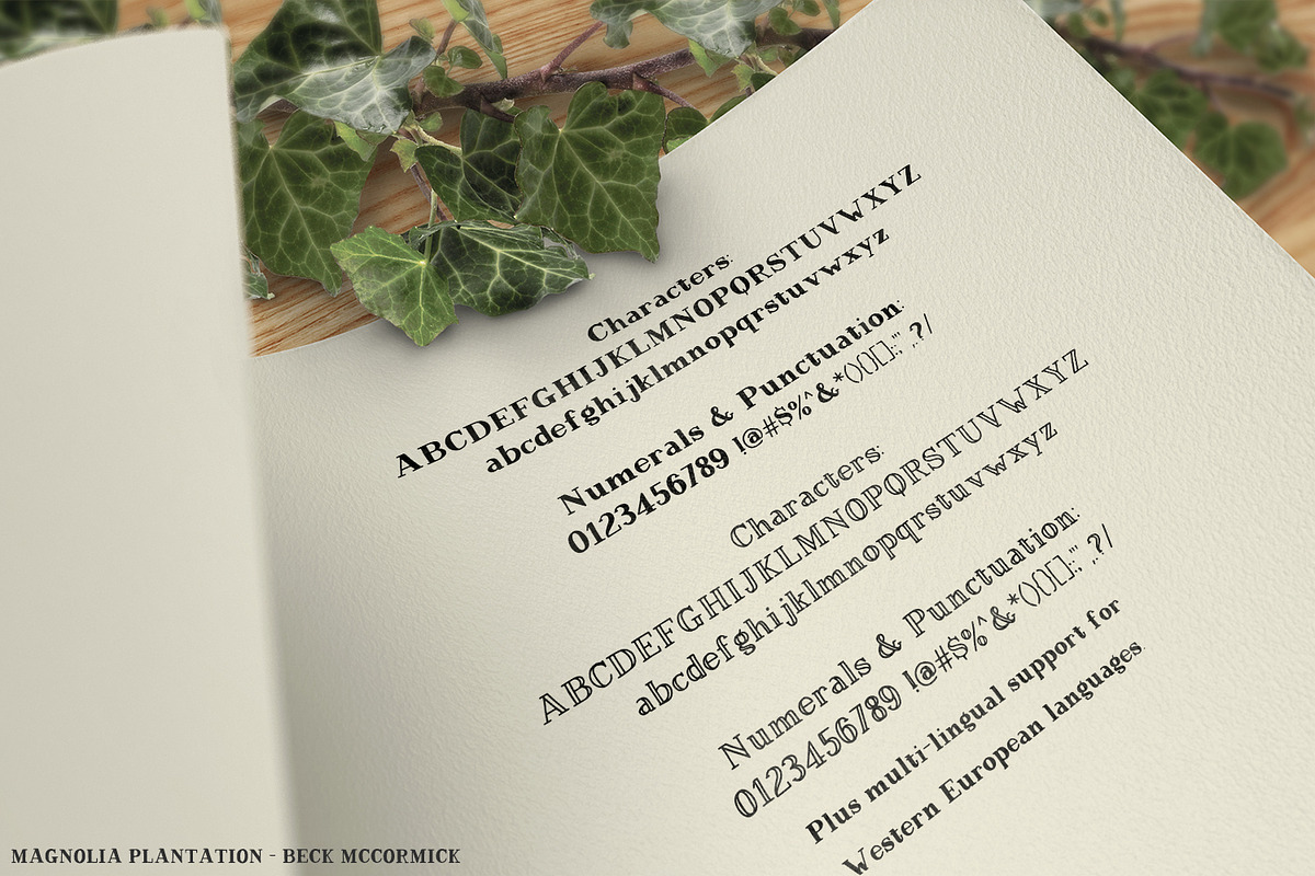 Magnolia Tree Rustic Font, a Serif Font by Beck McCormick