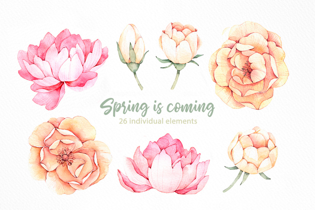 Spring is coming. Watercolor flowers, a Decorative Illustration by Kate ...