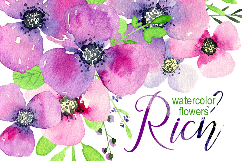 Violet & purple watercolor flowers, a Graphic by GraphicsDish