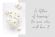 Horizon Script, a Script Font by Quothron
