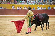 Bullfighter fighting featuring bull, bullfight, and bullfighting, a ...