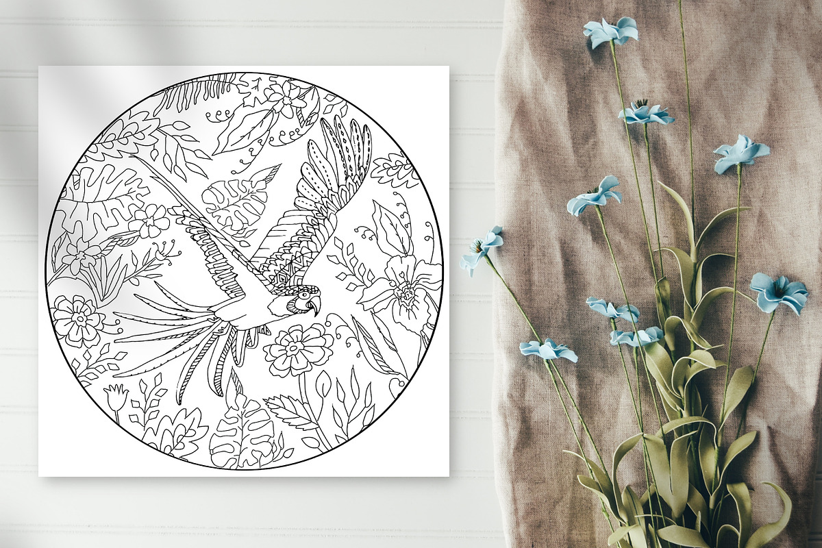 10 Circle Coloring Pages | Nature, an Animal Illustration by ...