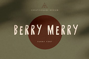 Berry Merry Font, a Font by Creativeqube Design