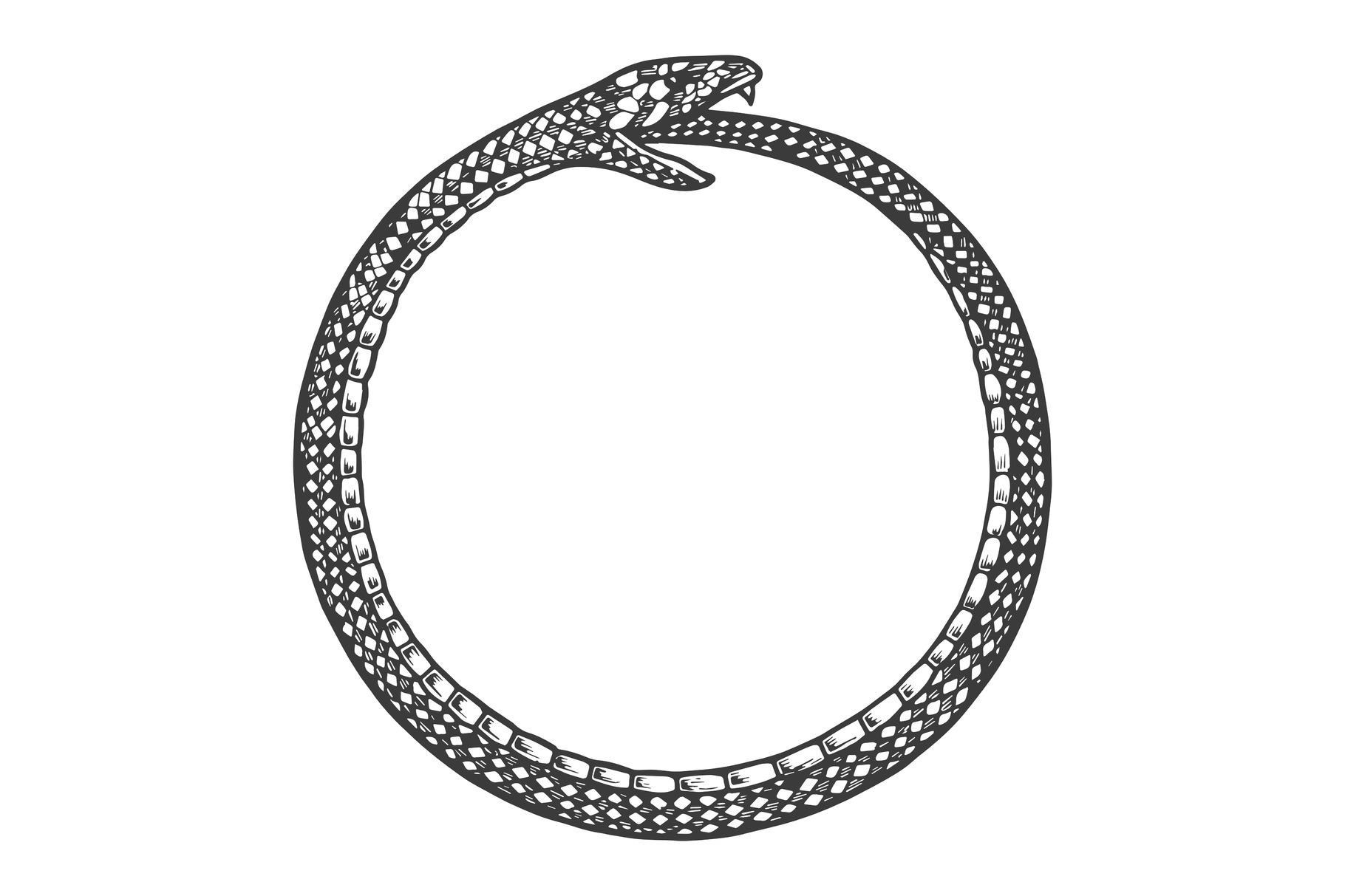 Snake bites itself engraving vector, an Animal Illustration by AlexArt