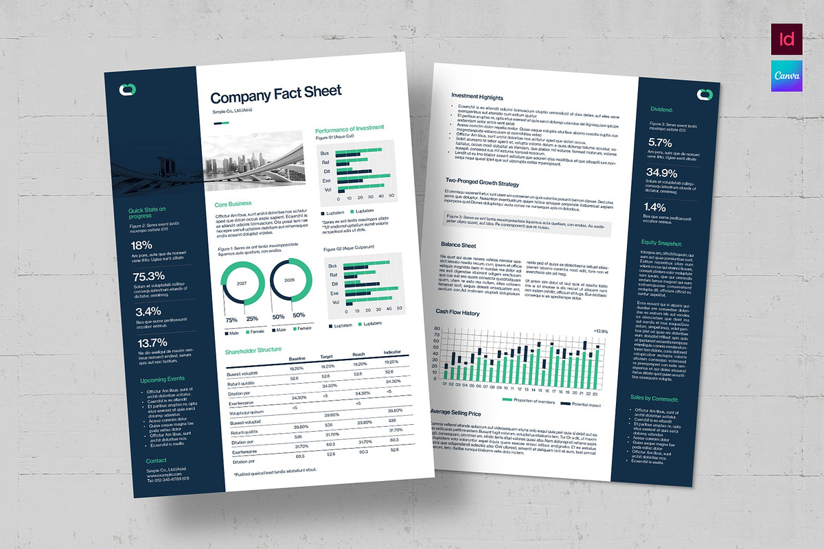 Factsheet, a Flyer Template by BrandPacks