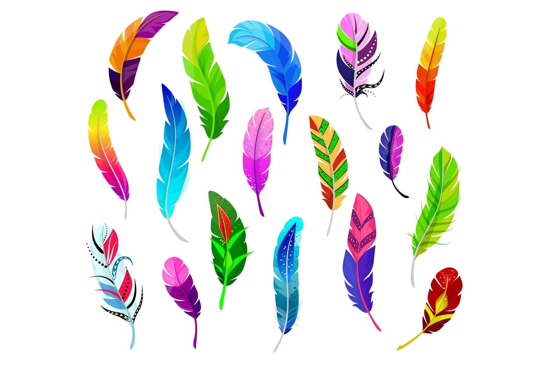 Feather vector fluffy feathering, a Decorative Illustration by KitVector