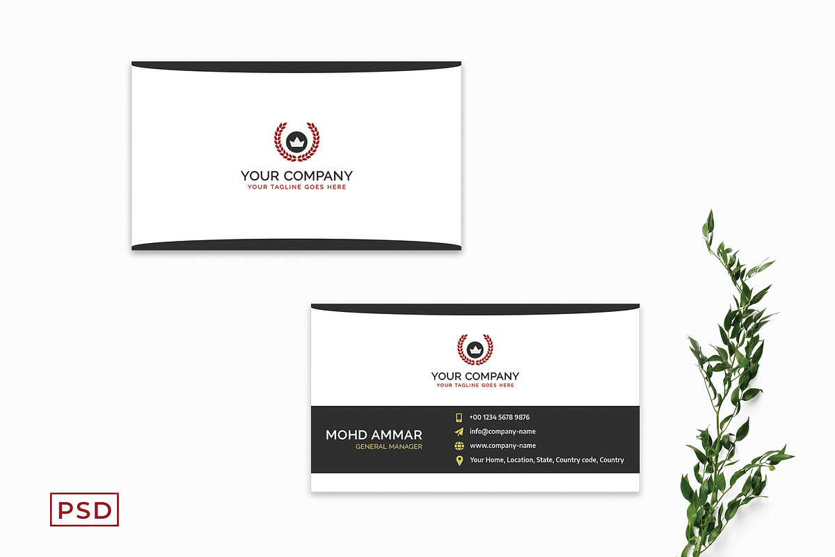 Professional B&W Business Card