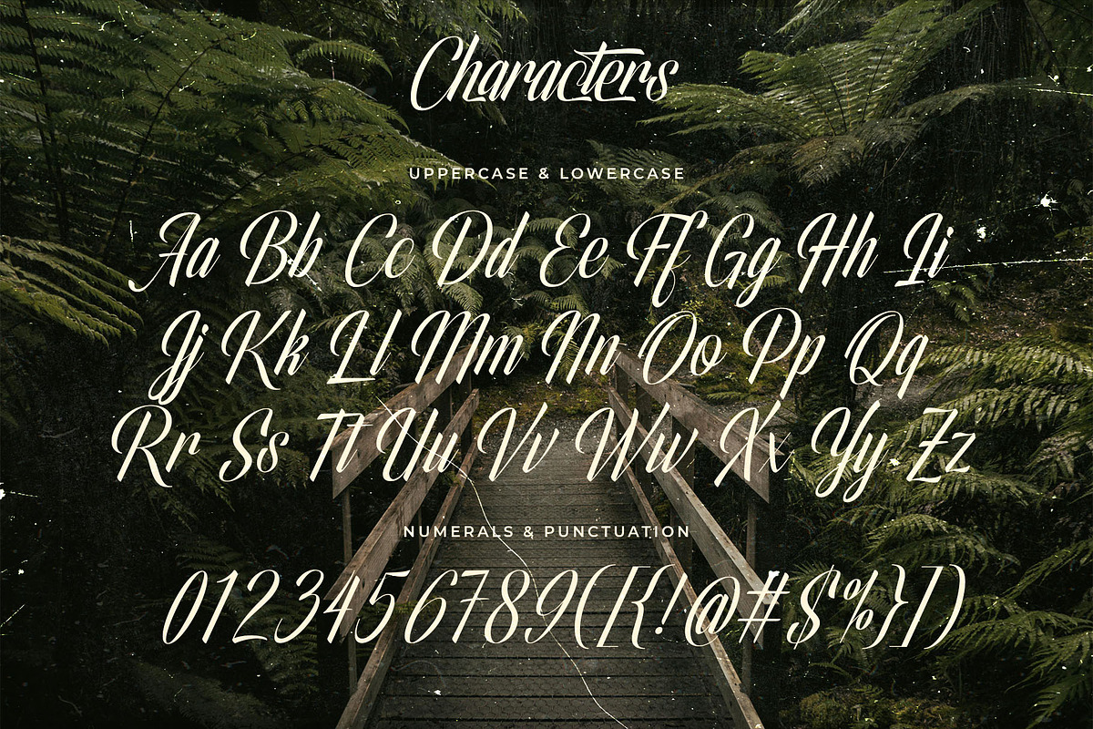 Olivelifes Script Font, a Script Font by alit design