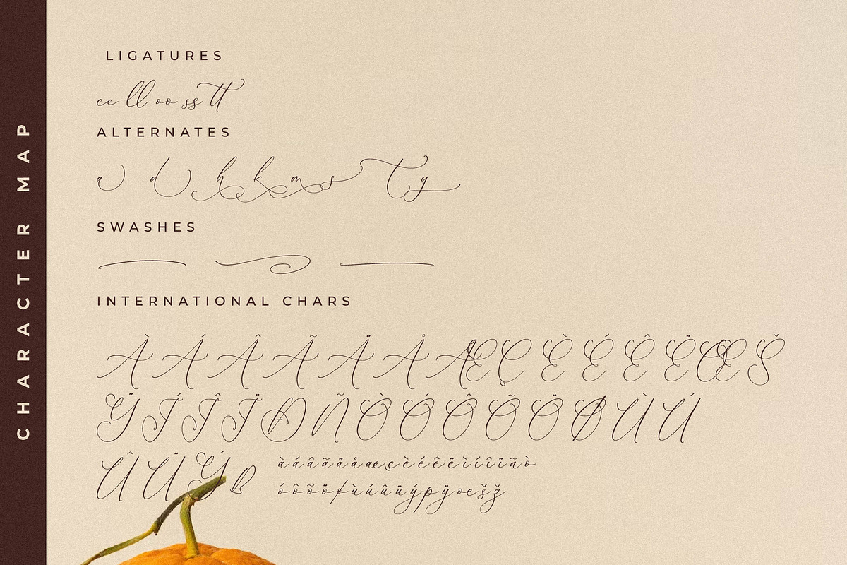 Pemberton Marsden Font Duo, a Serif Font by Storytype Studio