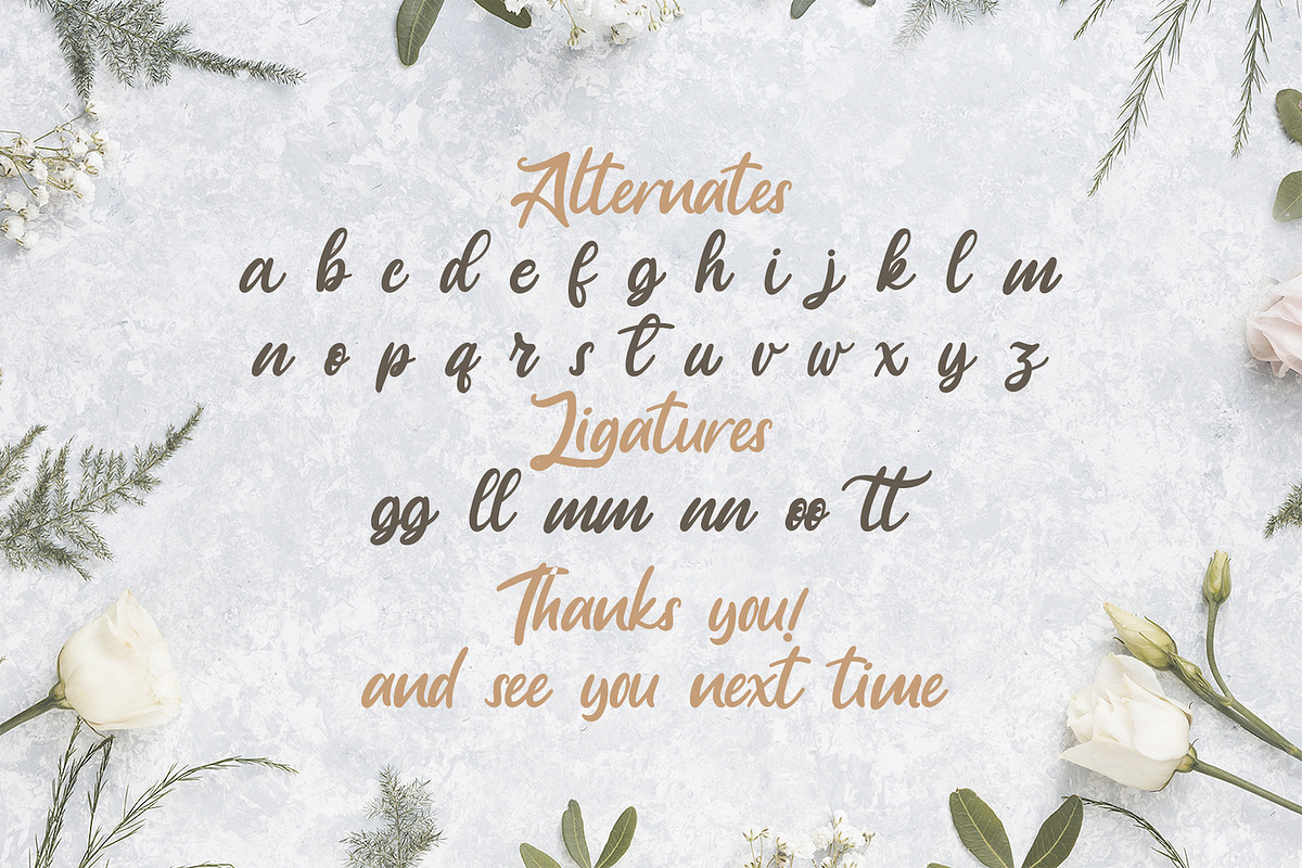 Anjelica Script - Bold Script Font, a Script Font by StringLabs | Creative Market