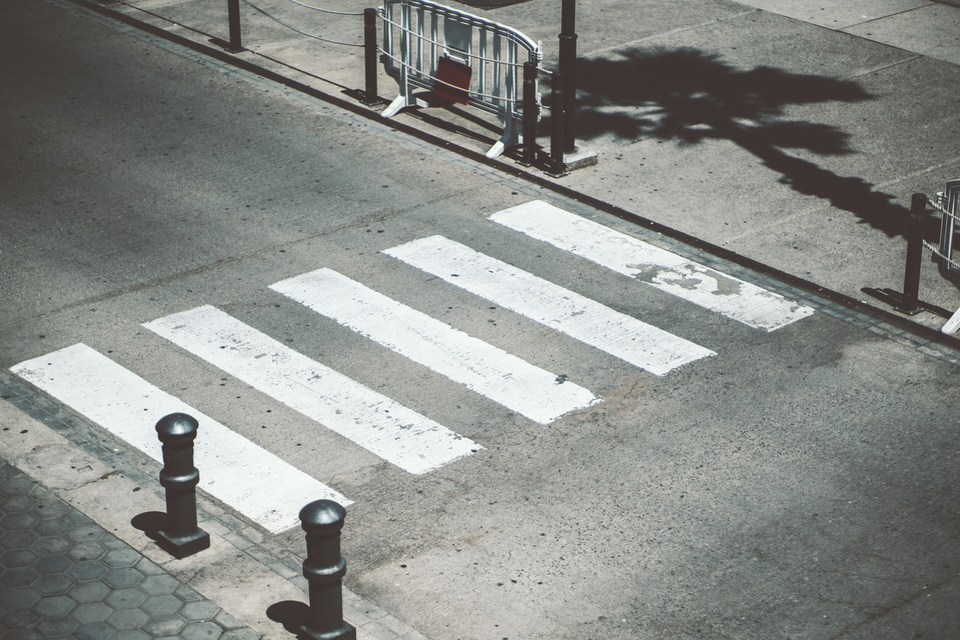 zebra traffic cross way over road, a Transportation Photo by SkyNext