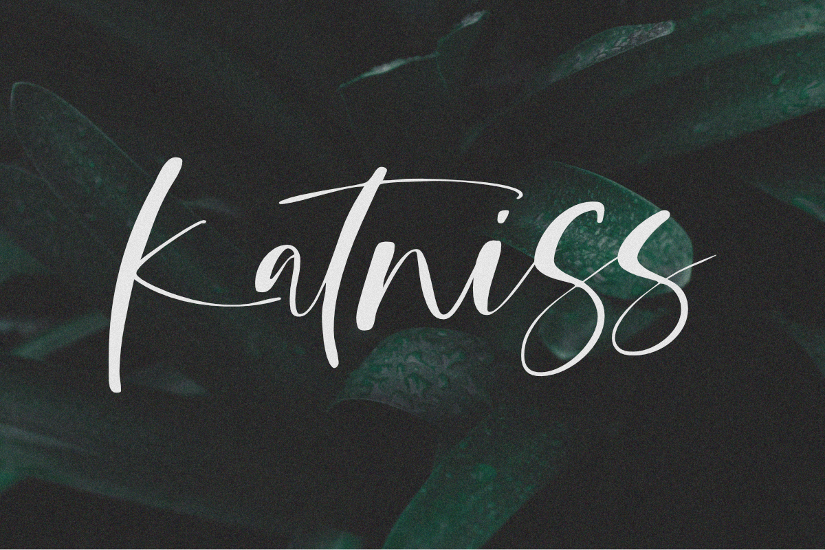 Katniss - A Stylish Script Font, a Script Font by Epiclinez | Creative ...