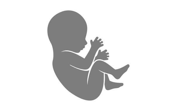 Fetus Icons, an Icon by in8finity | Creative Market