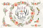 Wild collection extras Vol.5-1 | Illustrations ~ Creative Market