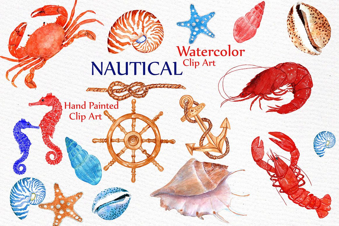 Seashell Nautical Watercolor Clipart, an Animal Illustration by LeCoqDesign