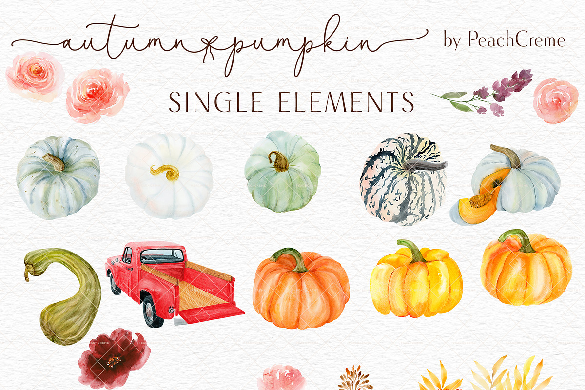 Autumn Pumpkin//Watercolor Set, an Illustration by PeachCremeArt