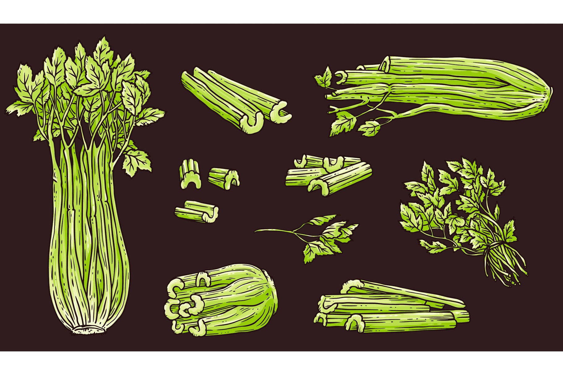 Celery drawing set - green whole and | Food Illustrations ~ Creative Market