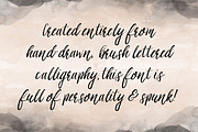 Ashley Brush Script, a Script Font by Printable Wisdom