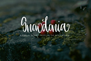 Snowdonia, a Script Font by OnTheSpotStudio