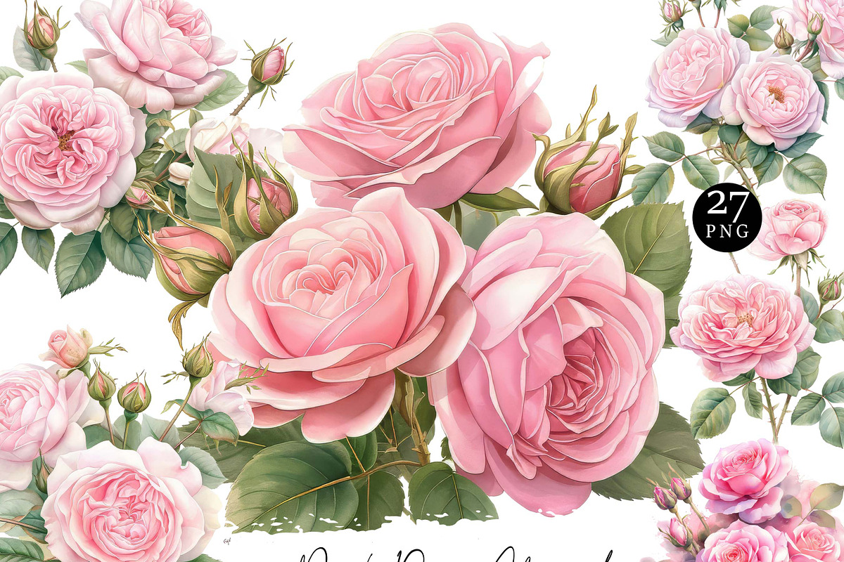Watercolor Pink Roses Clipart Bundle, an Object Illustration by Design ...