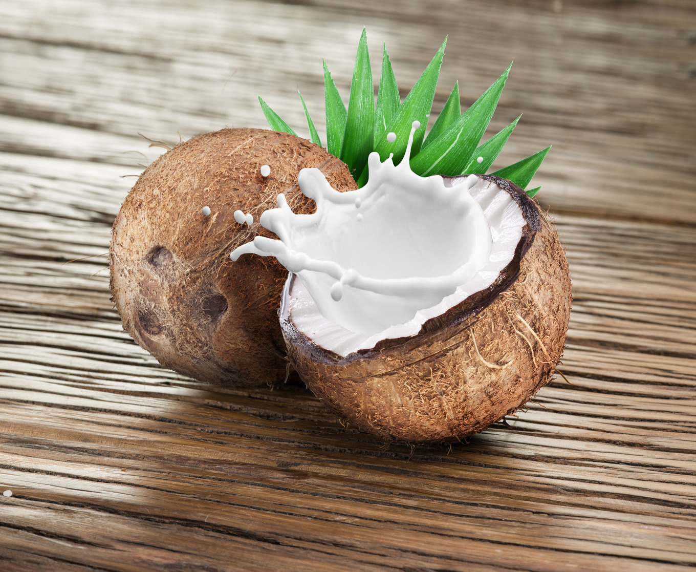 Coconut with milk splash inside stock photo containing coconut and ...