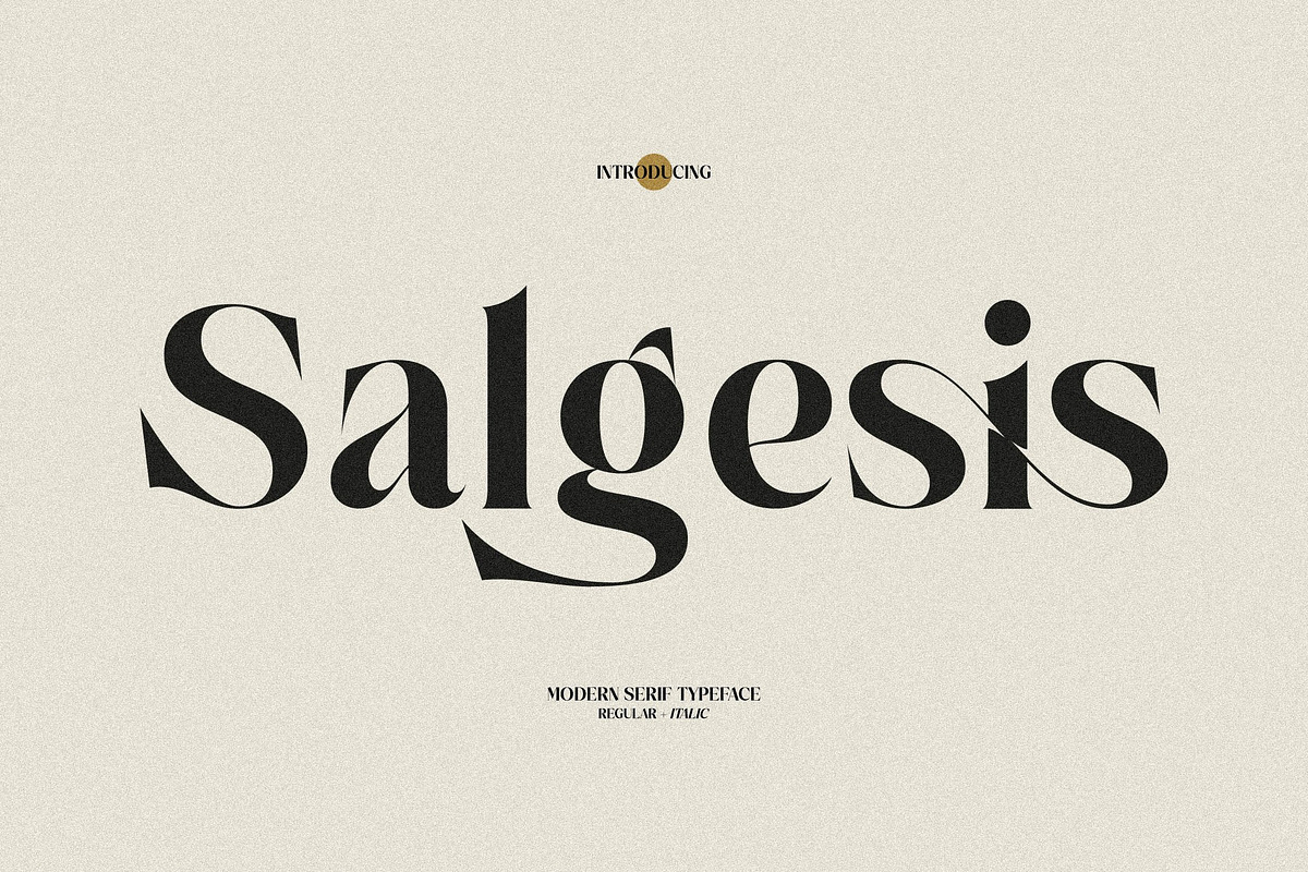 Salgesis Modern Serif Typeface, a Serif Font by Storytype Studio