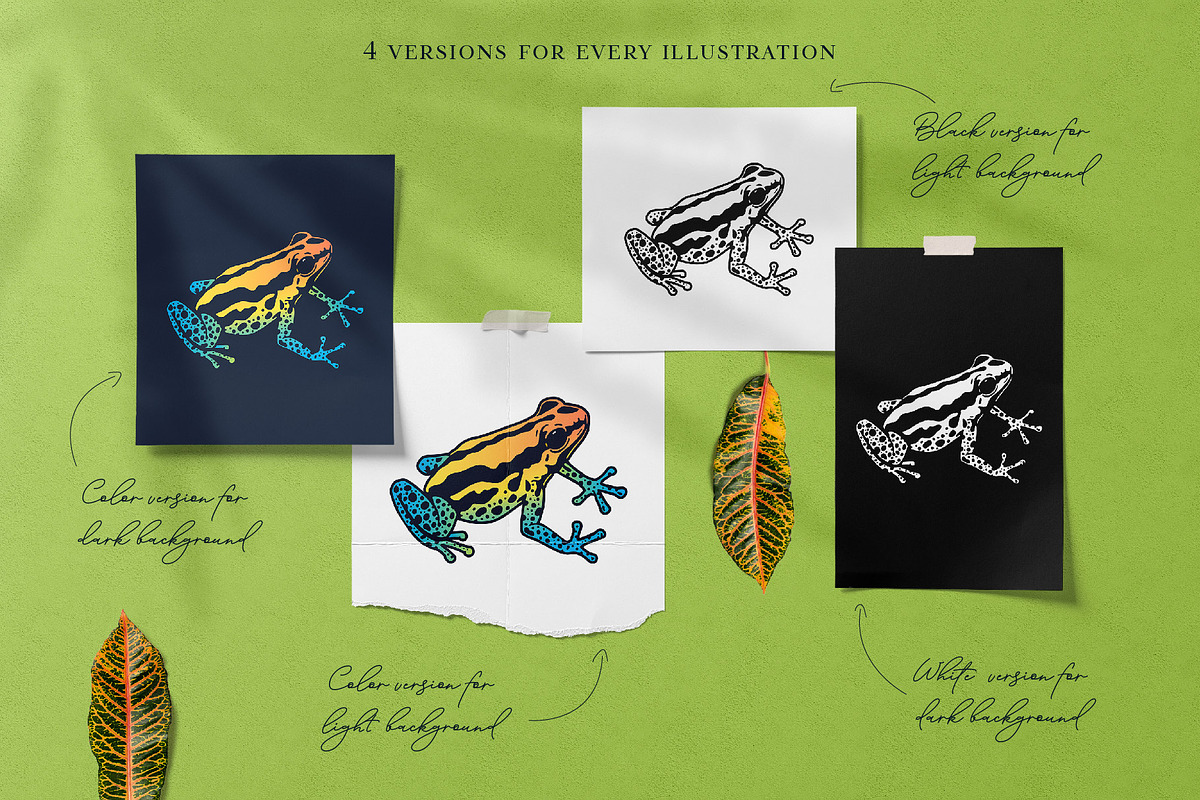 Amazon Rainforest Vector Illustrations