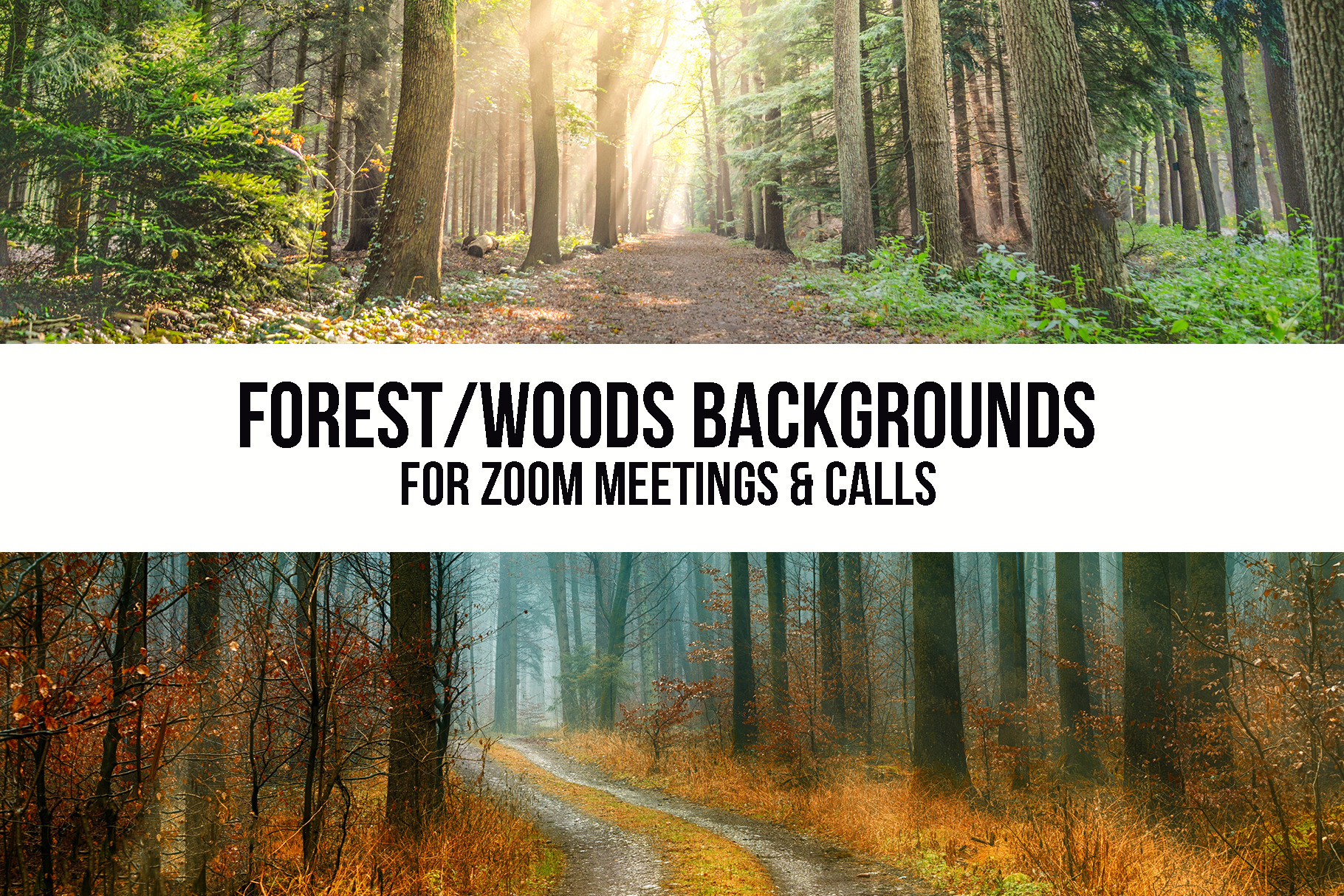 Forest/Wood Background Pack For ZOOM, a Social Media Template by Bijou Bay