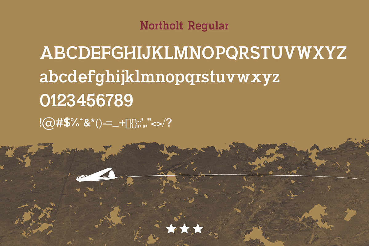 Northolt - A Slab Serif Font Family, a Slab Serif Font by Design 265