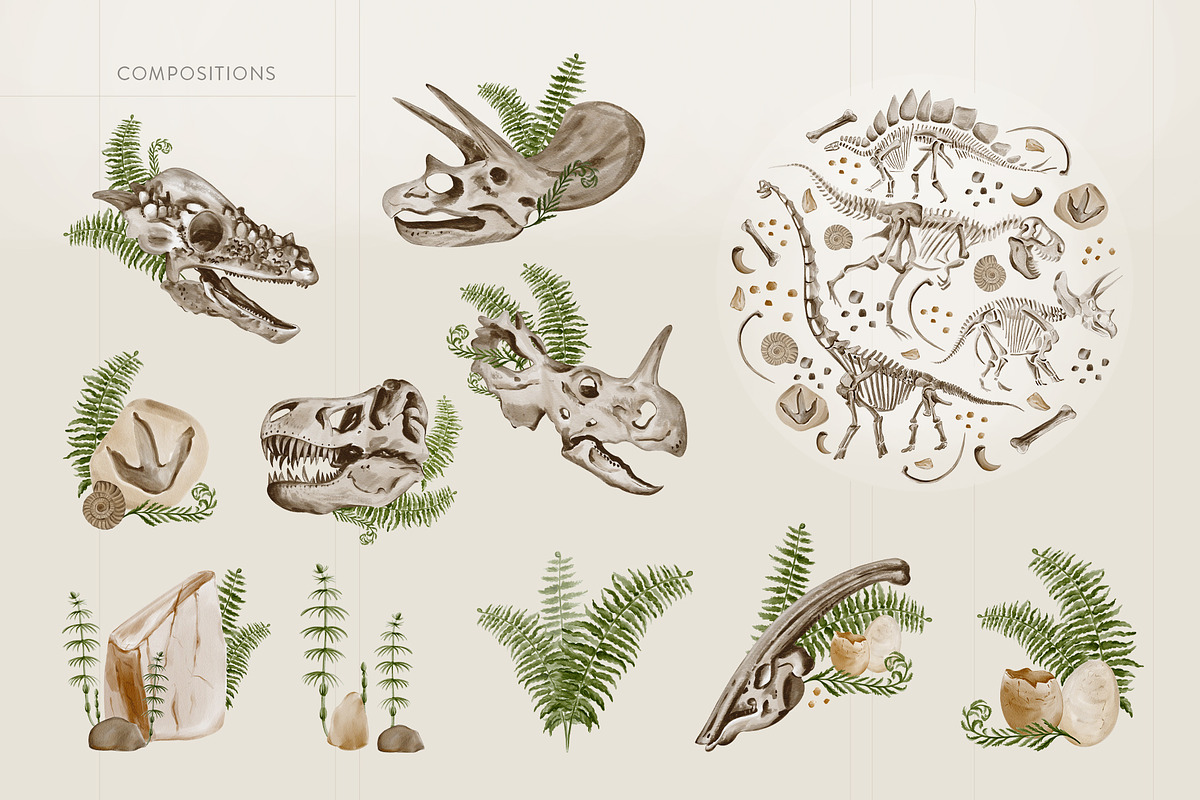 Dinosaur Skeletons Clip Art, an Illustration by Alena Sid