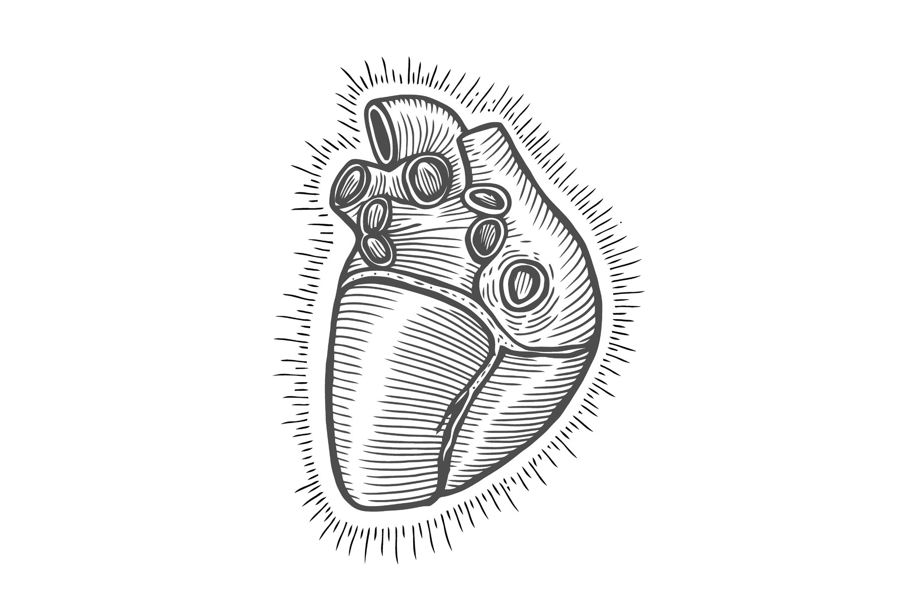 illustration with human heart, an Object Graphic by IllustrationArtShop