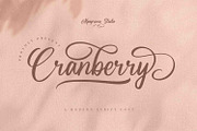 Cranberry - Modern Script Font | Creative Market