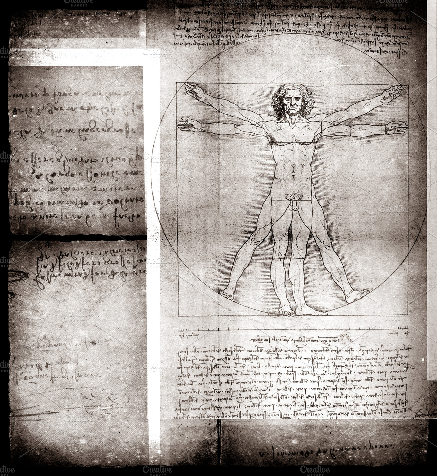 Vitruvian man containing anatomical, anatomy, and architecture, a ...
