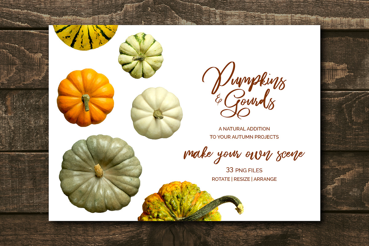 Pumpkins & Gourds - 33 Realistic, an Object Graphic by Turning Moss ...