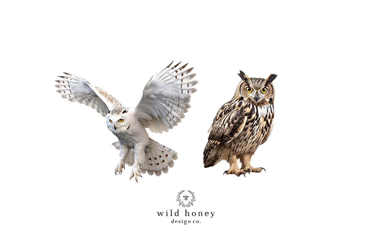 Owl Overlays, 10 PNGs, a Layer Style Add-On by Wild Honey Design Co.