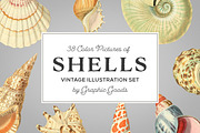 Shells - Vintage Color Illustrations, an Illustration by Graphic Goods
