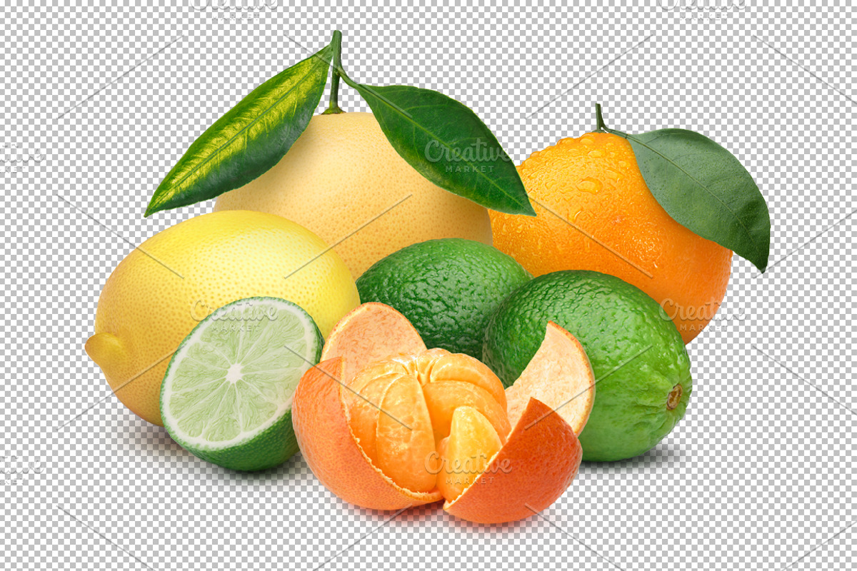 Citrus fruits, an Object Graphic by Hortimages