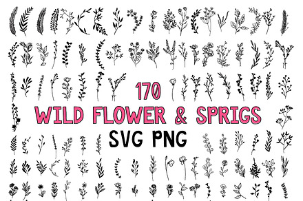 200 Wildflowers Line Art Botanicals, an Illustration by LifestyleCraftCo